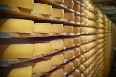 В громадах Сумщини запрацює мережа сироварень
