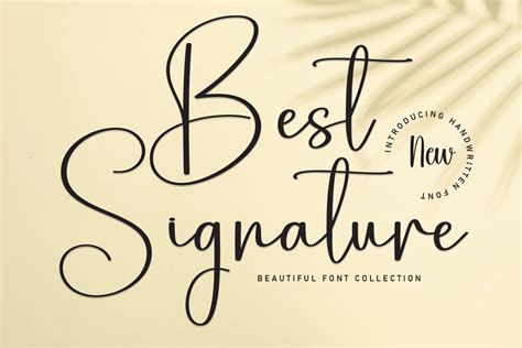 best signature regular premium font