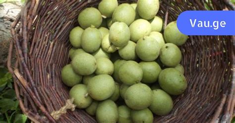 წამალი მკურნალობს სერიოზულ დაავადებებს ბალზამი ჩვეულებრივი მწვანე კაკლისგან Aww Ge კარაბადინი