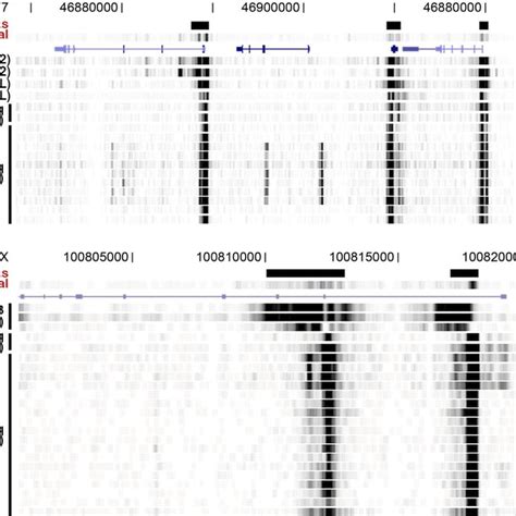 Yongqing Zhang Professor Associate Phd Chengdu University Of Information Technology