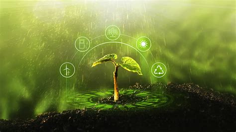 Exploring Environmental Sustainability Definition Policy And Examples