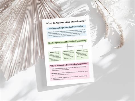 Adhd Executive Functioning Worksheets Coping Skills Therapy Tools