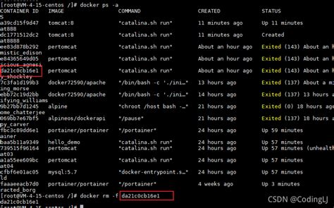【详解】docker容器常用命令操作 sudo docker run restart always p 8081 8081 csdn博客