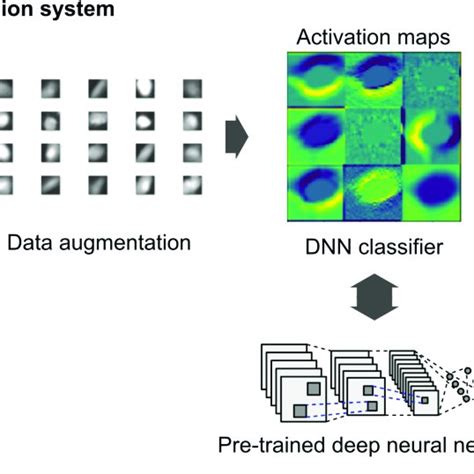 Algorithm Stages For The Classification Of Cells Image Preprocessing