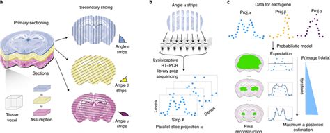 Sampling And Reconstruction Approach To Resolve The Spatial