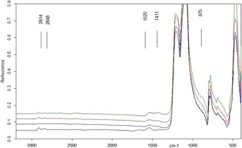Micro Ftir Spectrum Of Dorsal And Ventral Points Of A Flake From