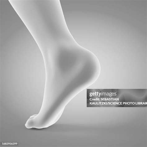 Walking Foot Illustration High Res Vector Graphic Getty Images