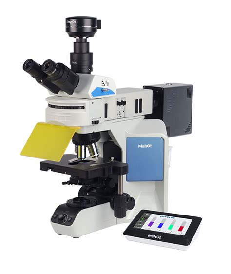 Research Level Upright Fluorescence Microscope Mf43 N Fluorescence And Biological Microscopes