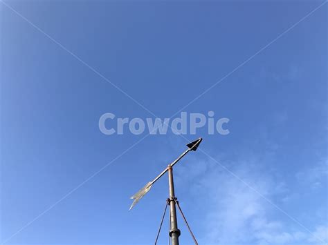 화살표 방향 Arrow 지시 Direction 사진 이미지 일러스트 캘리그라피 Hhjin작가