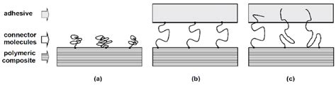 Schematics Of Molecular Brush Interphase Between Polymeric Substrate Download Scientific