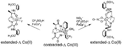 redox triggered extension contraction and successive helicity inversion