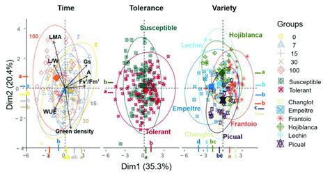 Principal Component Analysis Pca Of Leaf Functional Traits Performed
