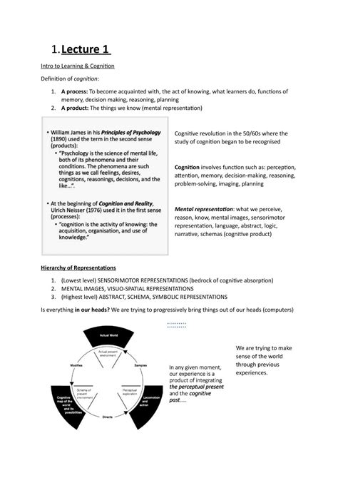 Mind Brain And Behaviour 1 Notes Psyc10003 Mind Brain And