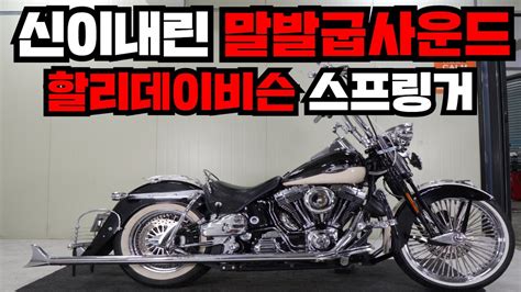 할리데이비슨 같이 생긴 야생말 판매합니다 할리데이비슨 스프링거 Youtube