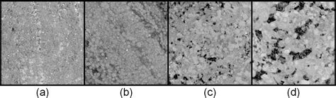 Deep Learning For Lithological Classification Of Carbonate Rock Micro Ct Images Deepai