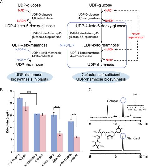 Systematic Engineering Of Saccharomyces Cerevisiae Chassis 49 Off