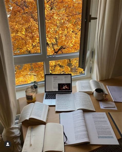 Fall Study Aesthetic Study Inspiration Study Motivation Fall Mood Board