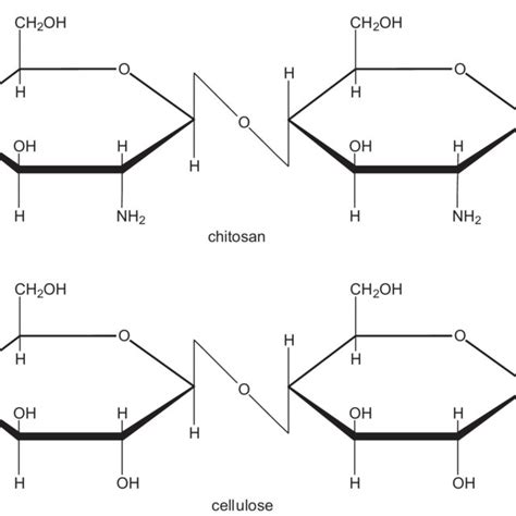 Chemical Structure Of Chitosan Top And Cellulose Bottom Download
