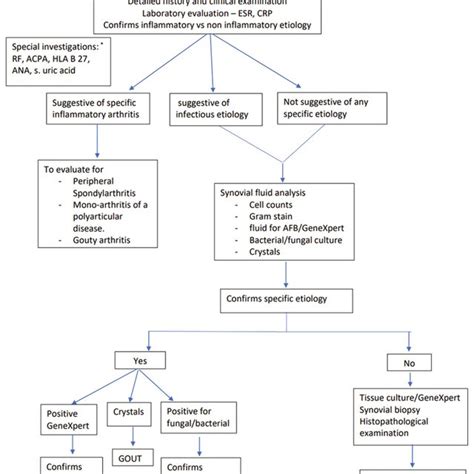 A Schematic Approach To Monoarthritis In Young Patients Investigations