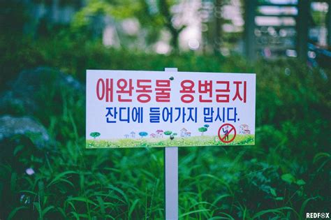 여우의 사진찍는 날 2016년 08월 07일 더운 화창한 날 아침부터 밤까지 Photo