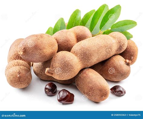 Ripe Tamarind Fruit Leaves And Some Tamarind Seeds Isolated On White