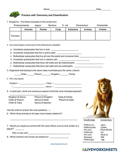 Practice With Taxonomy Worksheet Taxonomy Worksheet Practices Worksheets Taxonomy