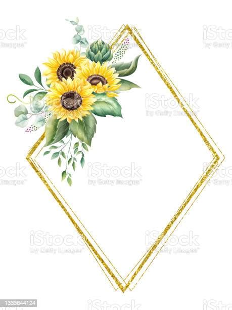 해바라기와 녹지 가지가있는 수채화 가을 골드 프레임 흰색 배경에 격리된 기하학적 프레임입니다 디자인 인쇄 직물 또는 배경에 대한 플로럴 일러스트레이션 해바라기에 대한 스톡