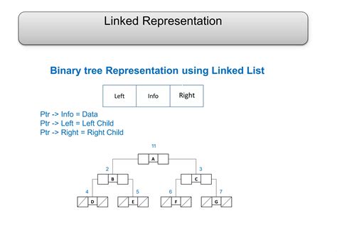 Binary Tree In Data Structure Pptx Programming Languages Computing