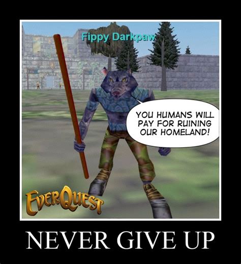 Lessons Learned From Fippy Darkpaw Scrolller