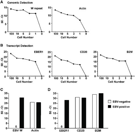 Quantitative Real Time Pcr Could Detect Genomic Ebv And Eber1 In A