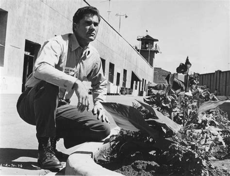 Robert Colbert Photo Gallery 01