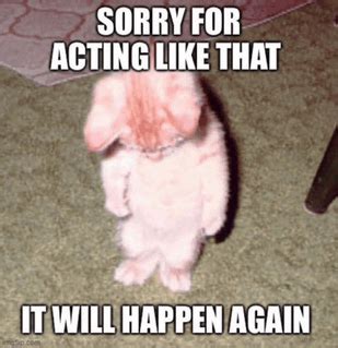 Im Sorry Meme S Tenor