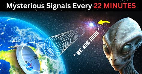 Quantum Zoo Quantum Zoo