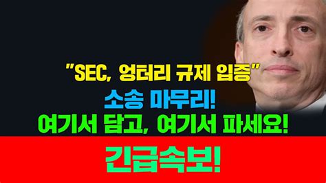 긴급속보 리플 Sec 엉터리 규제 입증 소송 마무리 여기서 담고 여기서 파세요 리플 리플전망 리플코인 리플