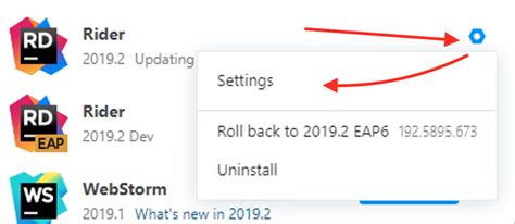Multiple Rider Instances Rider Support JetBrains