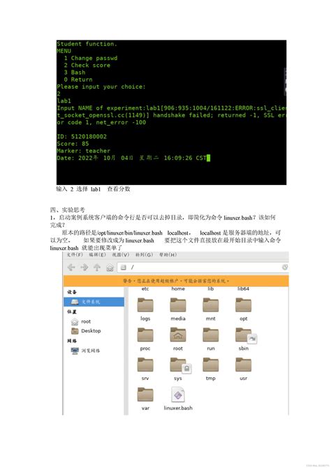 Linux实验linux基本操作 Csdn博客