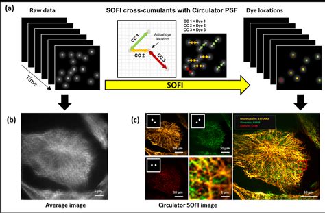 A Overall Concept Of SOFI Based Imaging Using The Circulator B