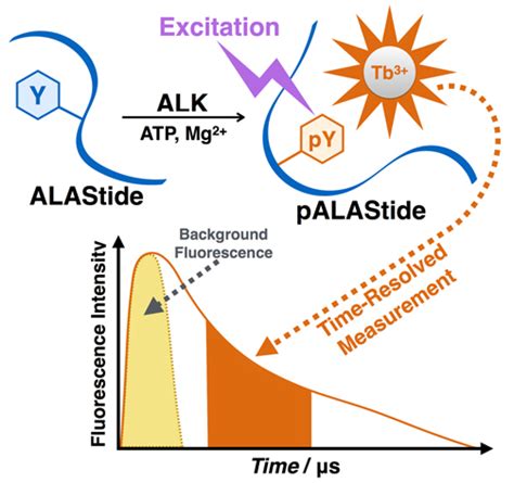 Lanthanide Luminescence Assays The Parker Lab Umn