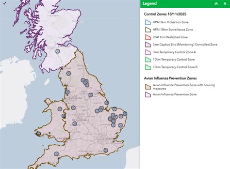 Symptoms Of Bird Flu As Ukhsa Issues Update On Highly Pathogenic H5n1