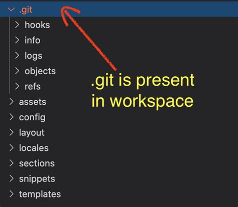 Initialise Repository Message Wont Go Away · Issue 110445