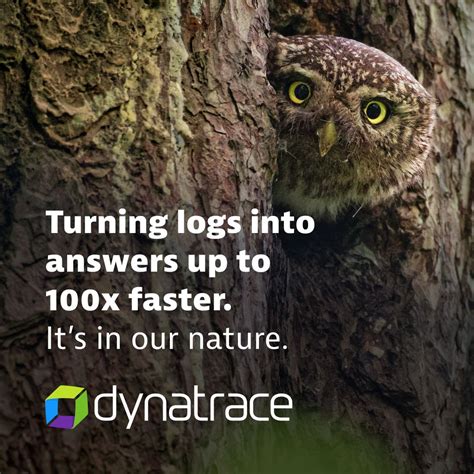 Dynatrace On Linkedin Welcome To The Data Lakehouse Dynatrace
