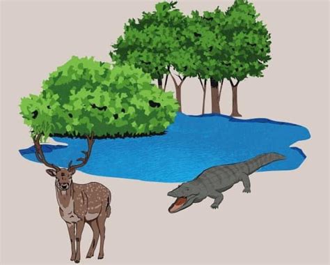 N Vel Tr Fico O Que Caracter Sticas Conceito E Defini O