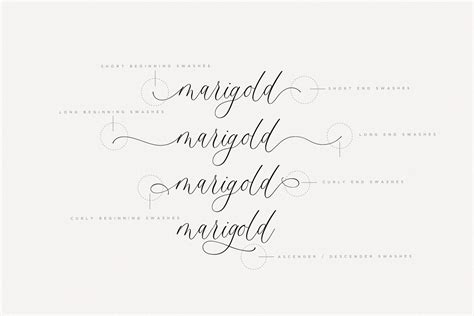 Monterey Script Font On Behance