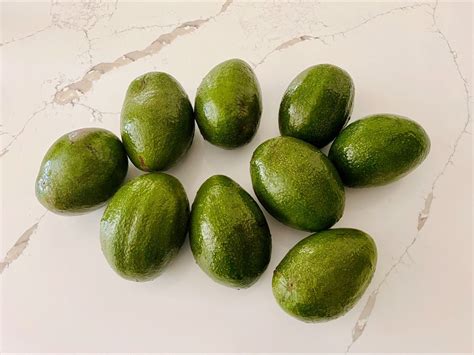 Notasecuritypost Networking Neighbors Avocados Guacamole Lovethyneighbor Localcommunity