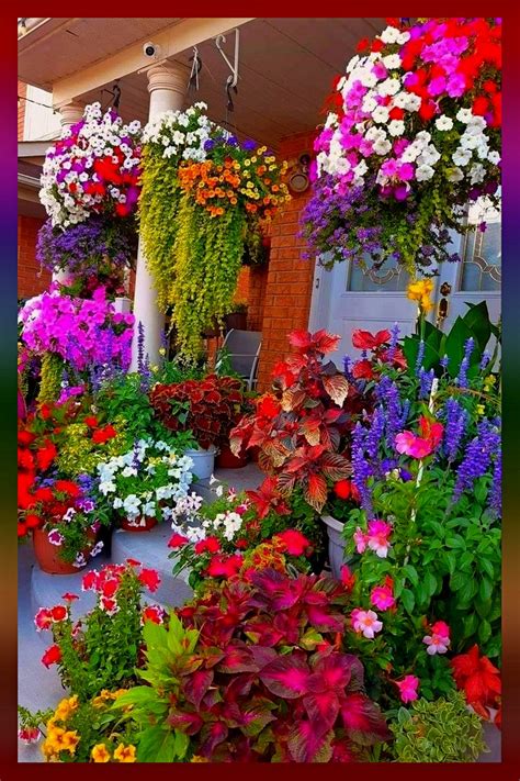 Пазл «Цветы во дворе из 216 элементов Собрать онлайн пазл №267520