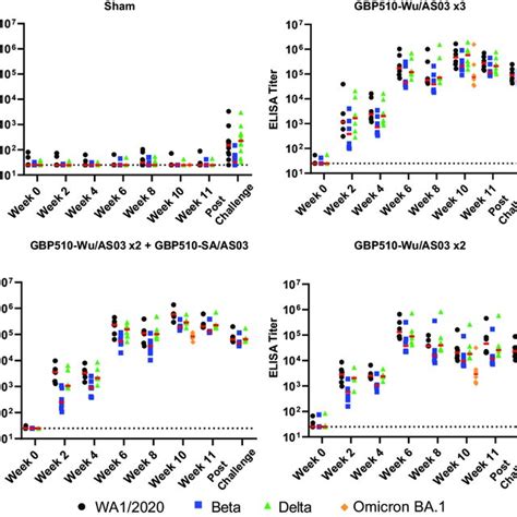 Binding Antibody Responses Measured To The Vaccines Antibody Binding Download Scientific