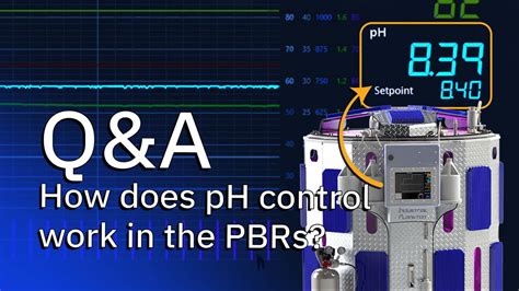 Qanda Ph Control In Photobioreactors Industrial Plankton