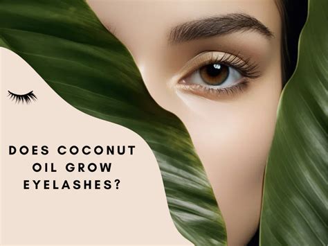 Does Coconut Oil Help In Eyelash Growth Truth Revealed Sahara Foods Uk
