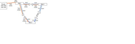 Same Mac Address On Two Interfaces In Two Vlans Cisco Community