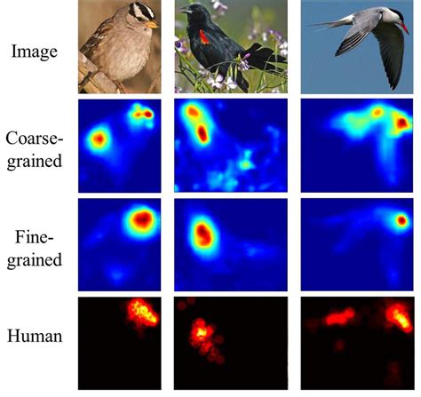 Overview Of Our Multiple Granularity Descriptors Mgd Framework Download Scientific Diagram